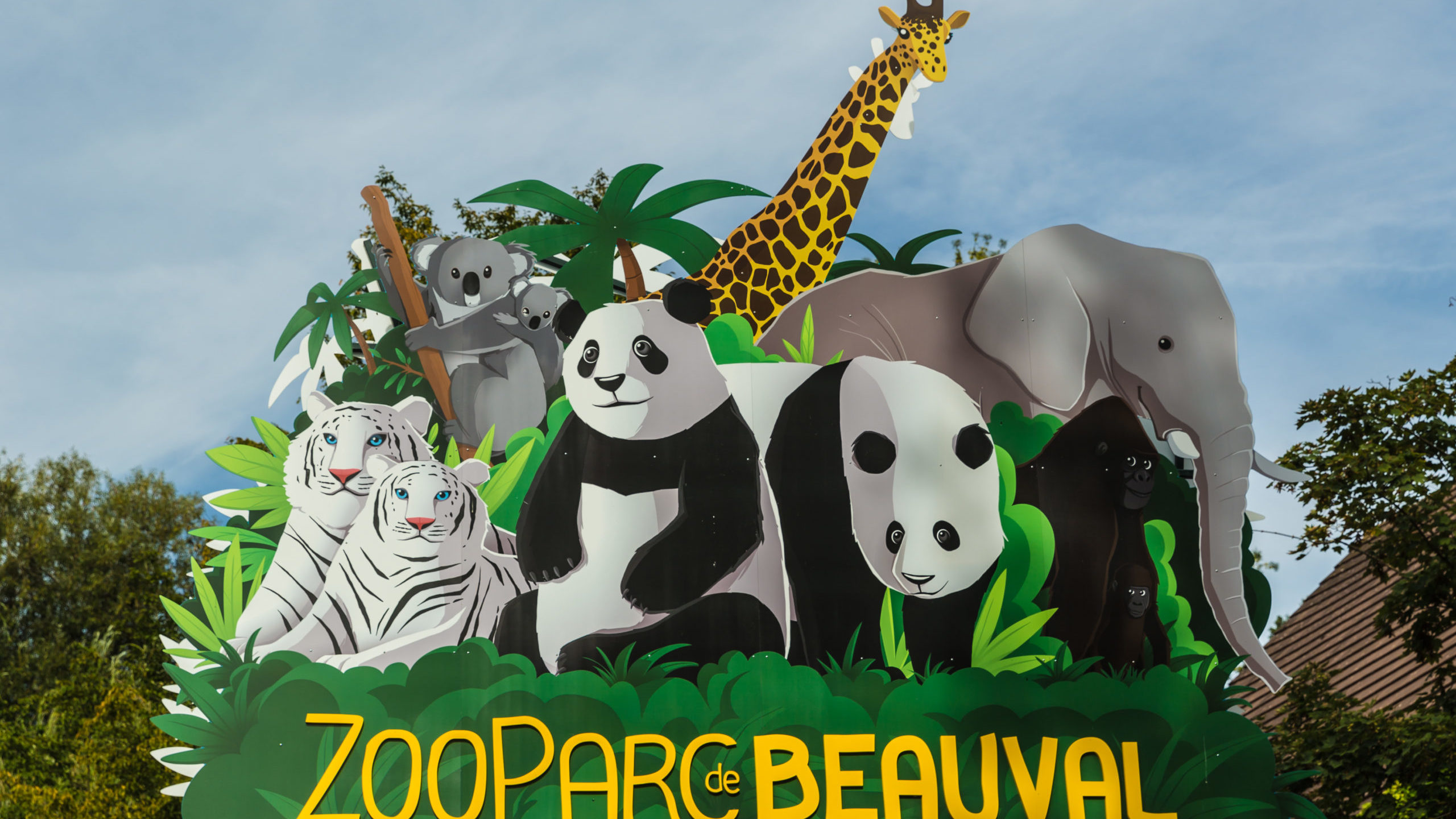 Séjour Zoo de Beauval - 1 ou 2 Jours - Astuces, Avis & Guide de Visite